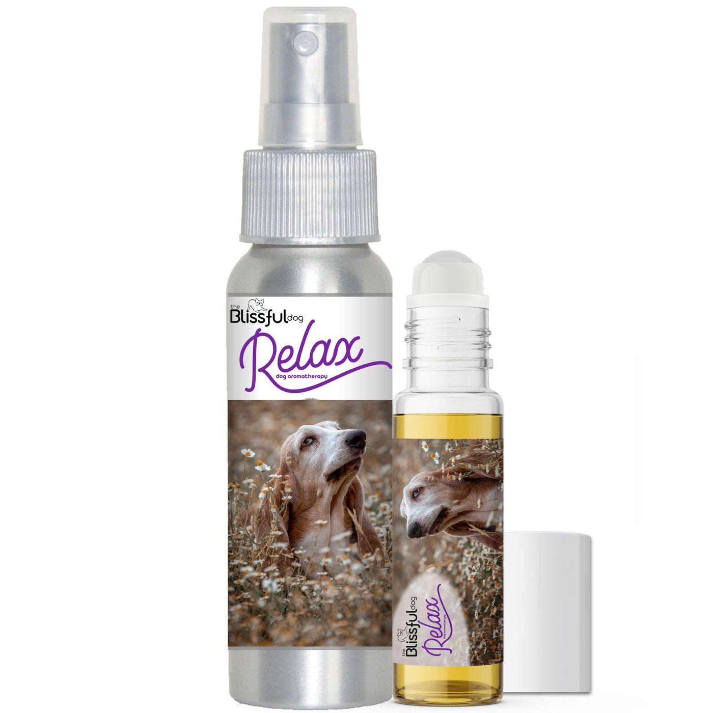 Basset Collection for Your Basset's Nose, Paws, Elbows & Stress - The ...