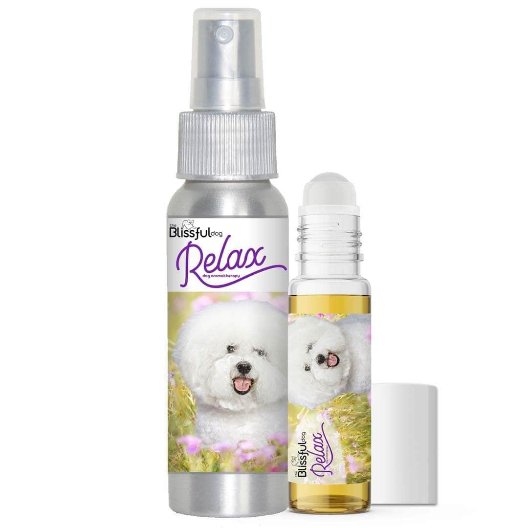 Shop The Blissful Dog Bichon Frise Nose to Tail Collection