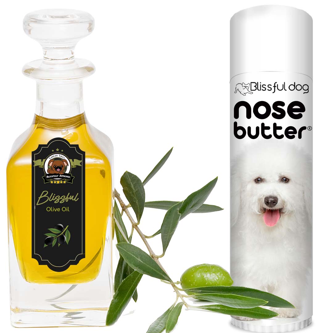 Bichon Frise Nose Butter Handcrafted Natural Balm for Your Dog's Nose ...