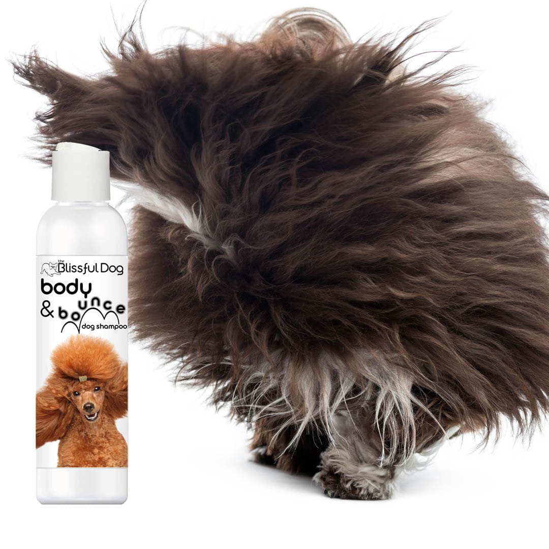 The Blissful Dog BODY & BOUNCE Dog Shampoo for Volume & Oomph Galore