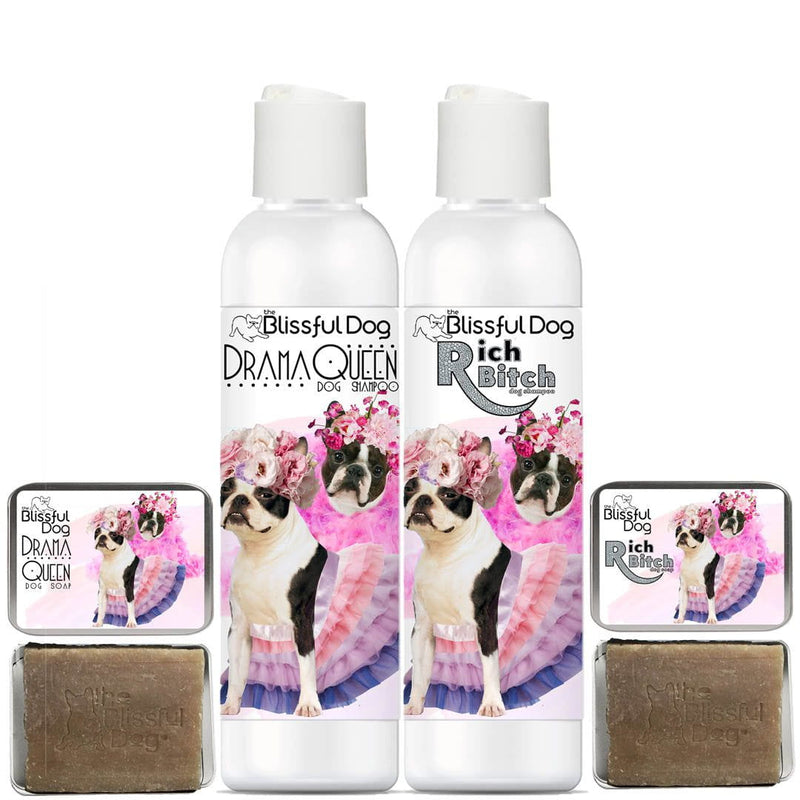 SHOP The Blissful Dog BOSTON TERRIER Collection for Your Dog's Care