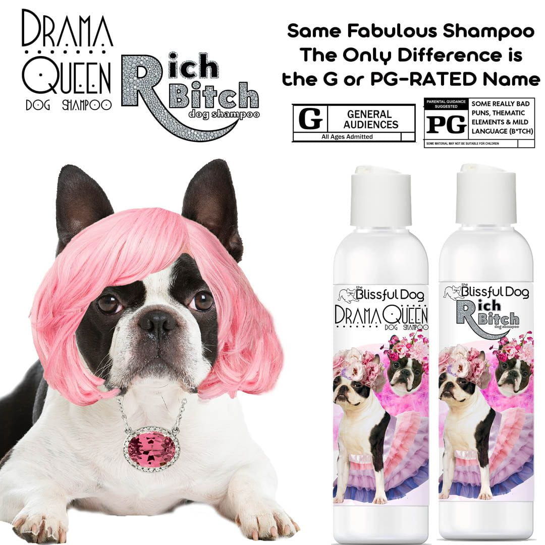 SHOP The Blissful Dog BOSTON TERRIER Collection for Your Dog's Care