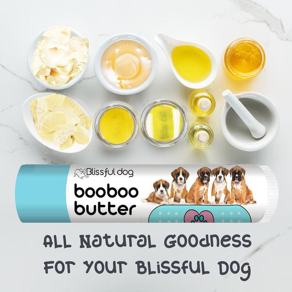 Boxer Custom Combo Kits for Boxer Skin Care - Dry Noses, Rough Paws+ ...