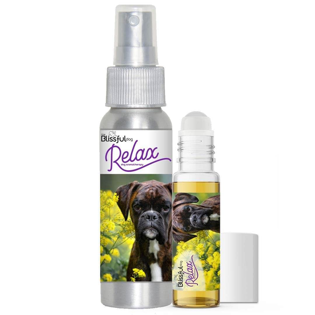 Shop The Blissful Dog Boxer Dog Collection for Your Boxer's Care