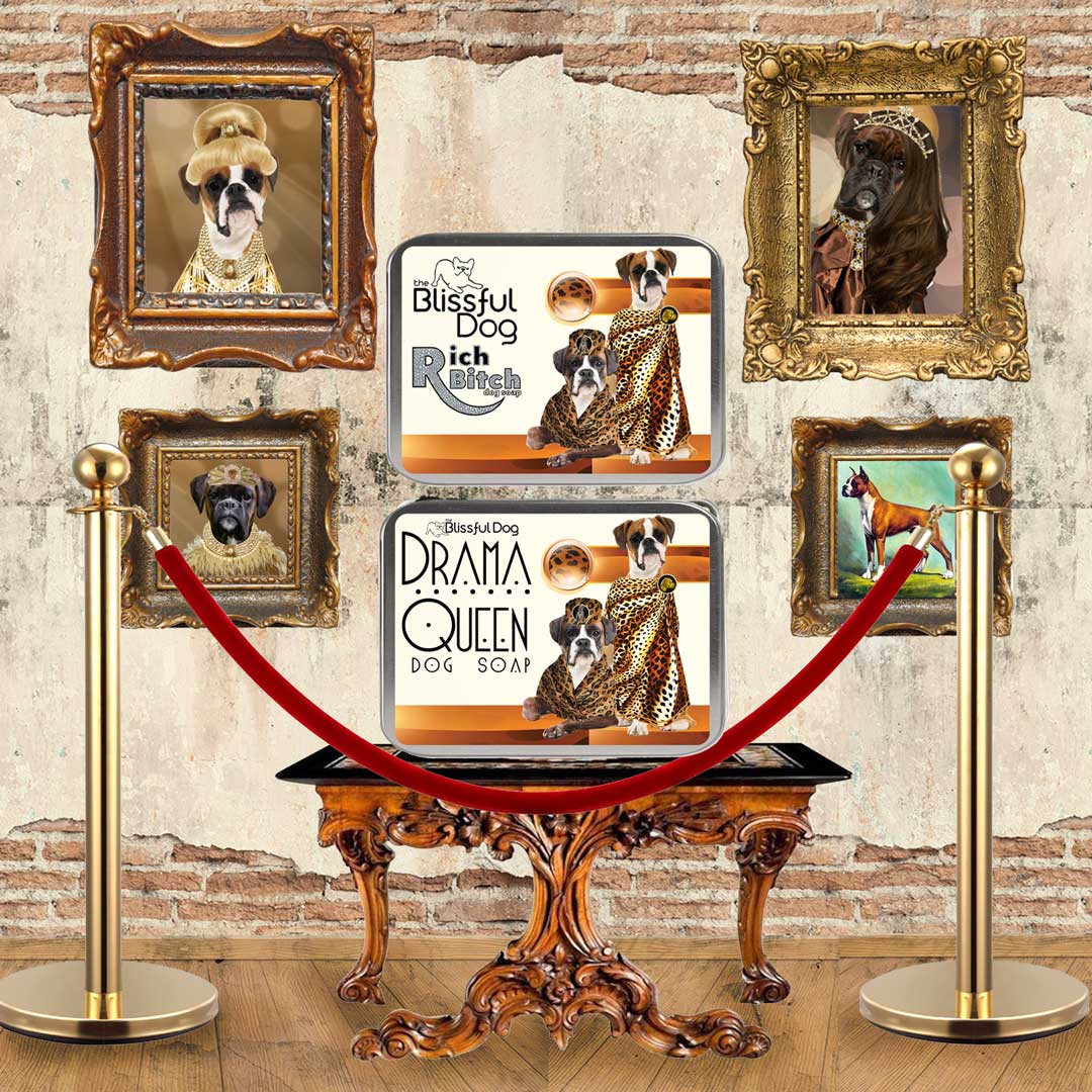 Drama Queen & Rich Bitch Boxer Shampoo & Soap Your Dog's Opulent Bath ...
