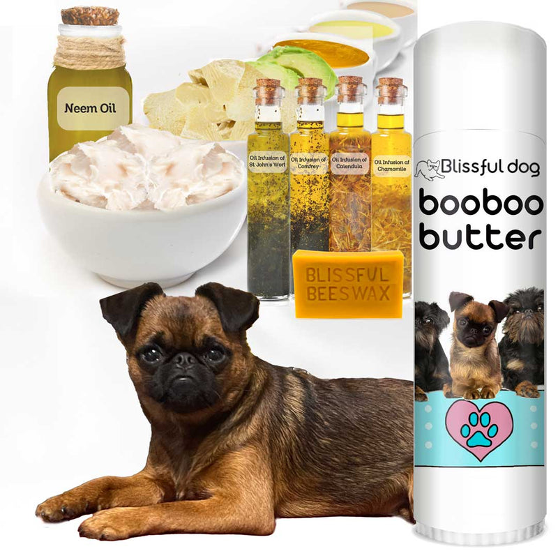 The Blissful Dog Boo Boo Butter for Brussels Griffon Skin Care
