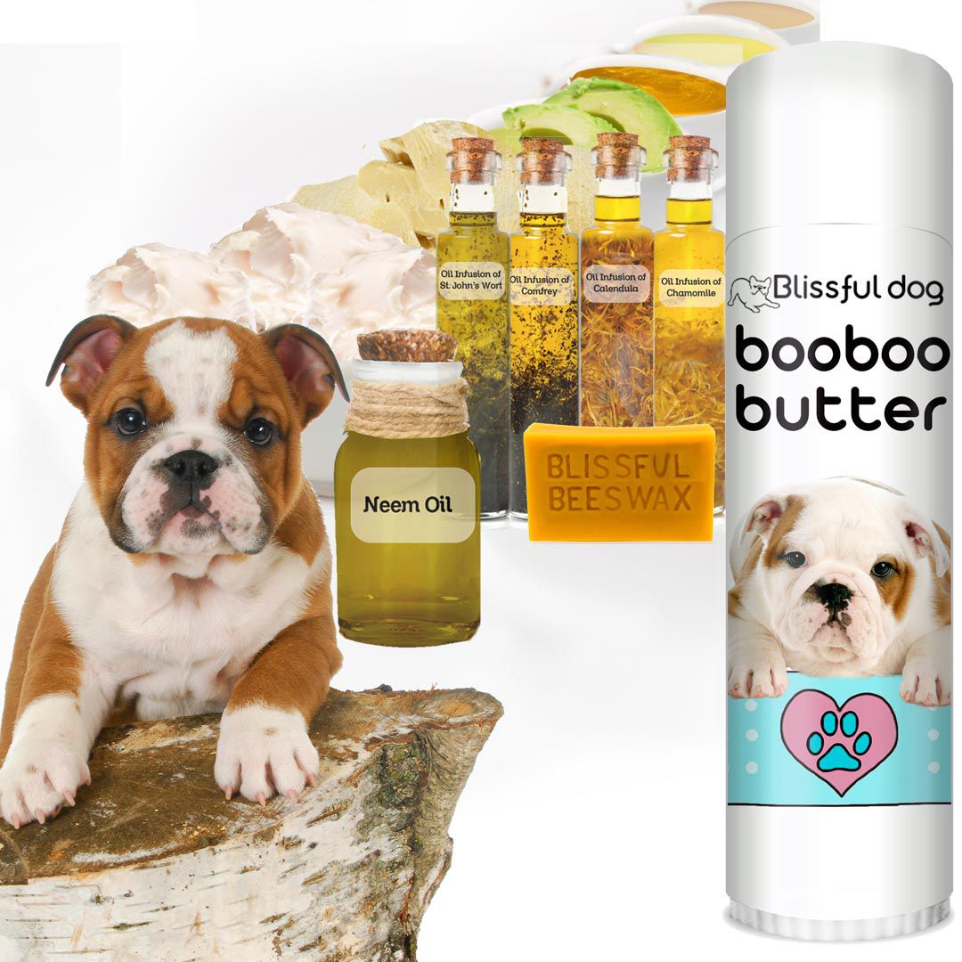 Bulldog Boo Boo Butter For Bulldog Skin Issues, Itchy Spots & Noses ...