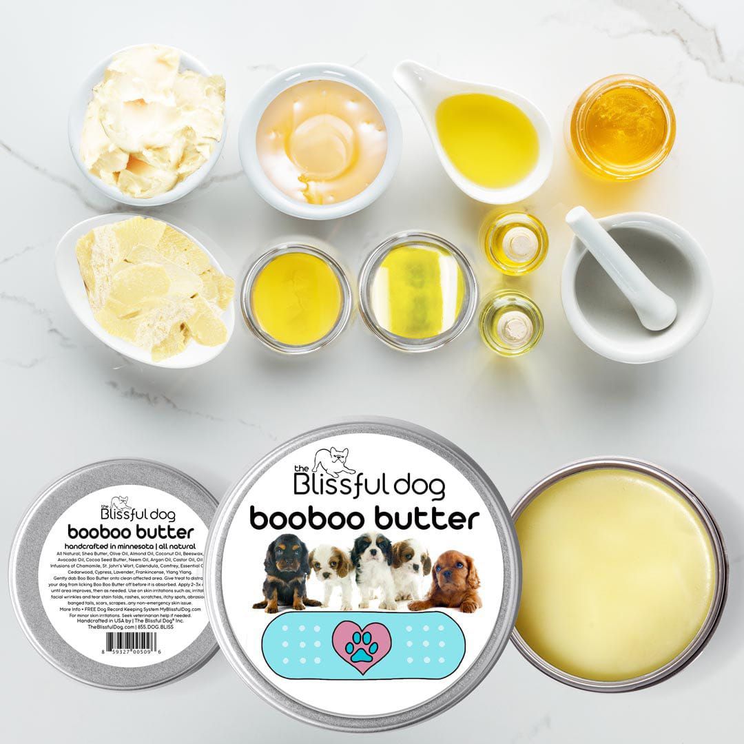Cavalier King Charles Spaniel Boo Boo Butter for Minor Skin Irritation ...