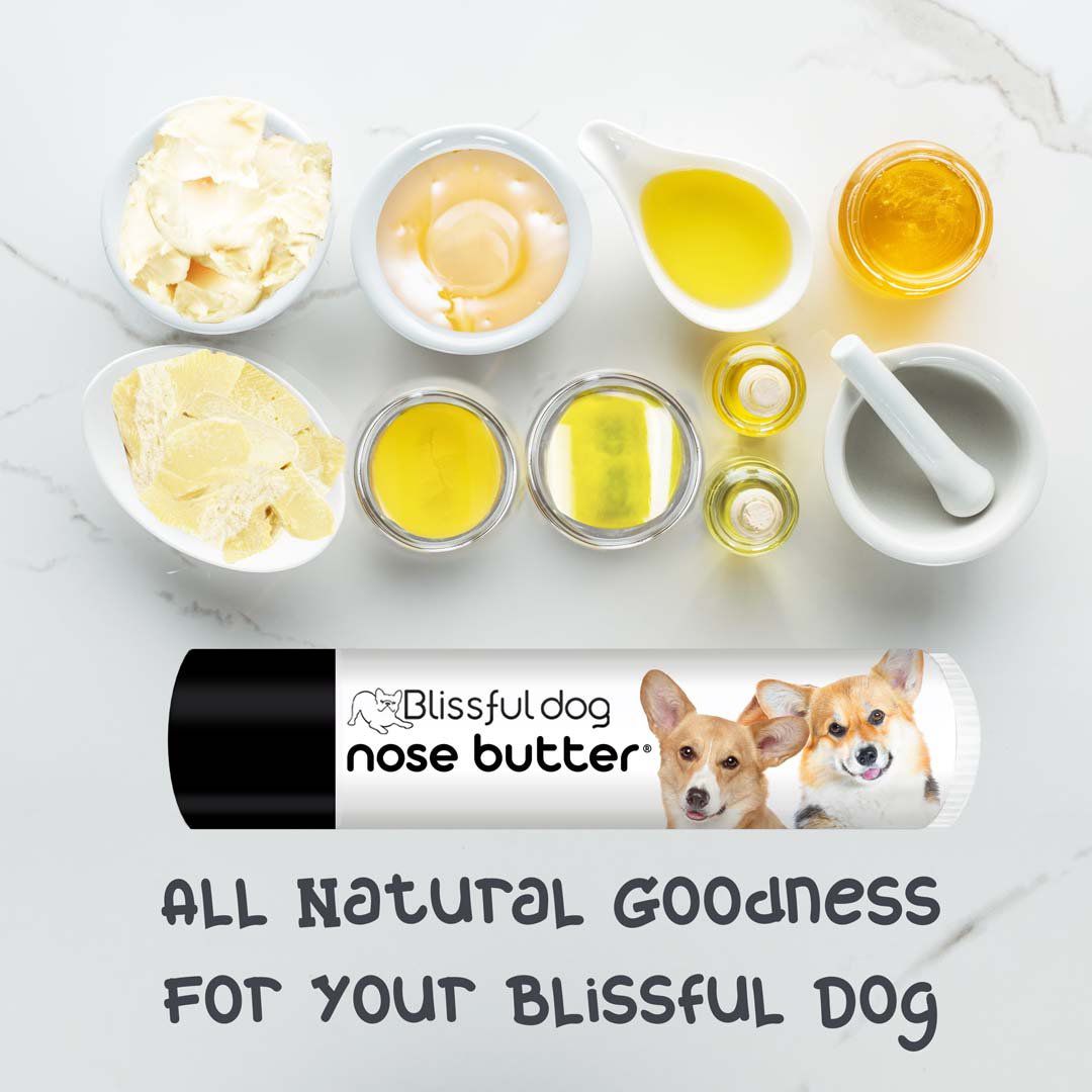 Corgi Nose Butter® Handcrafted Balm for Your Dog's Rough, Dry Nose ...