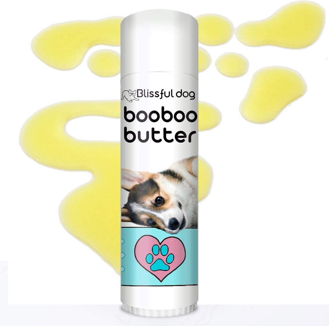 Boo Boo Butter Herbal Balm for Corgi Skin Irritations, Itchies & Owies ...