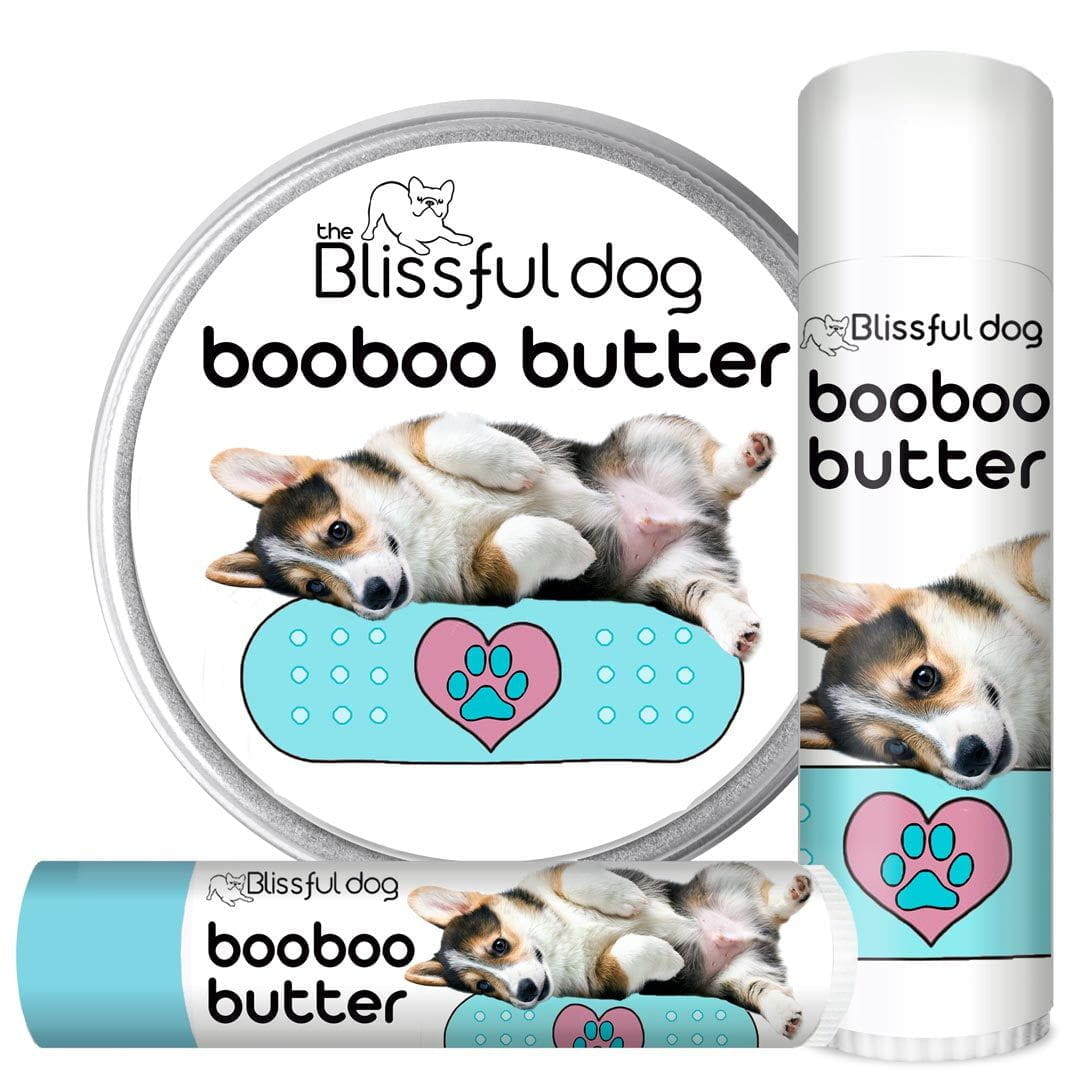 Shop The Blissful Dog Corgi Collection For Your Blissful Corgi's Needs