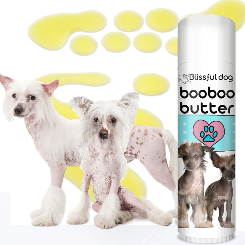 The Blissful Dog Boo Boo Butter For Chinese Crested Skin Care
