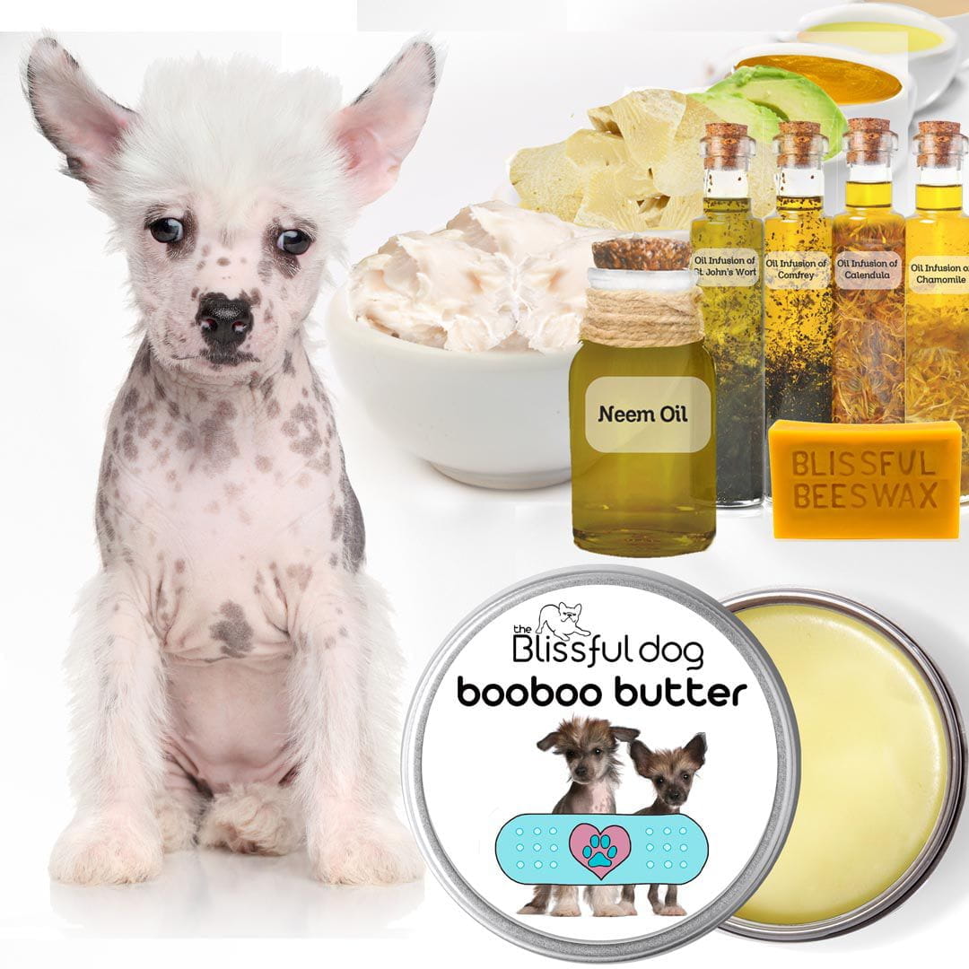 The Blissful Dog Boo Boo Butter For Chinese Crested Skin Care