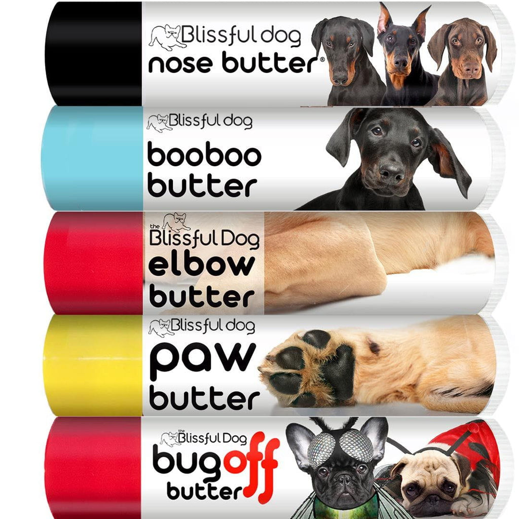 Doberman Pinscher Skin Care for Dry Noses, Rough Paws, Itchy Skin - The ...