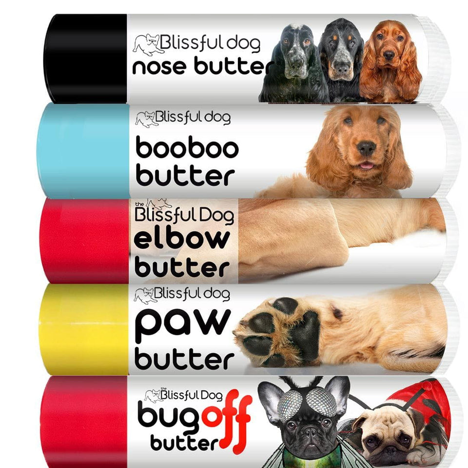 English Cocker Spaniel Dog Care & Grooming Supplies Online - The ...