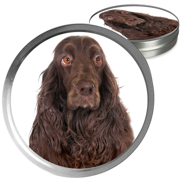 Field Spaniel - The Blissful Dog