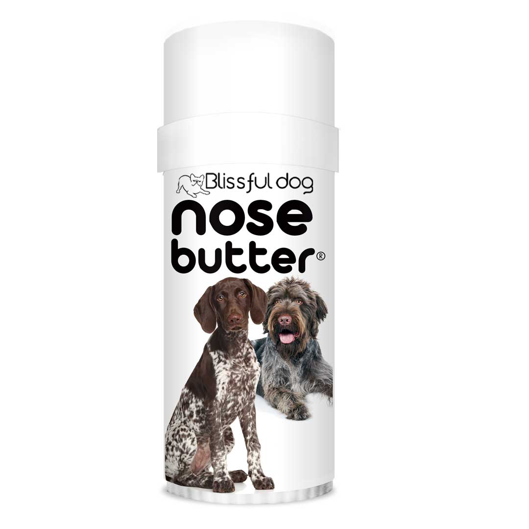 German Shorthaired Pointer Nose Butter® for Your GSP/GWP dry nose - The ...