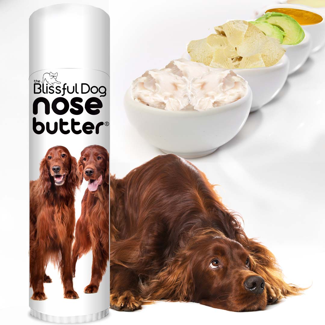 The Blissful Dog Nose Butter Soothes Irish Setter Dry Nose Conditions