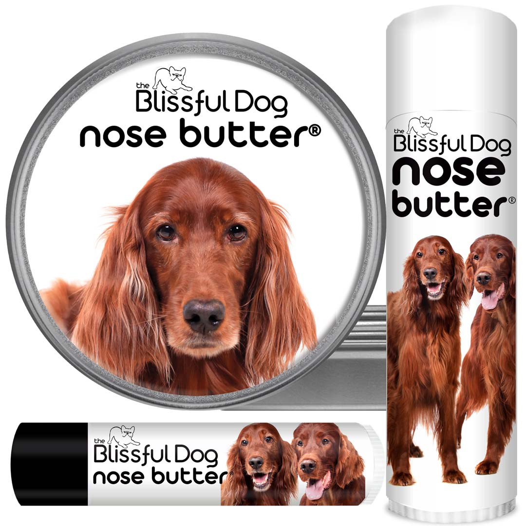 The Blissful Dog Nose Butter Soothes Irish Setter Dry Nose Conditions