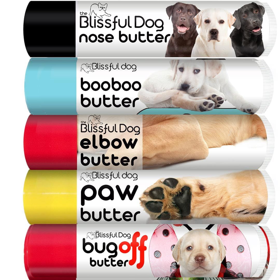 Shop Labrador Retriever Collection for Dry Noses, Elbow Calluses ...