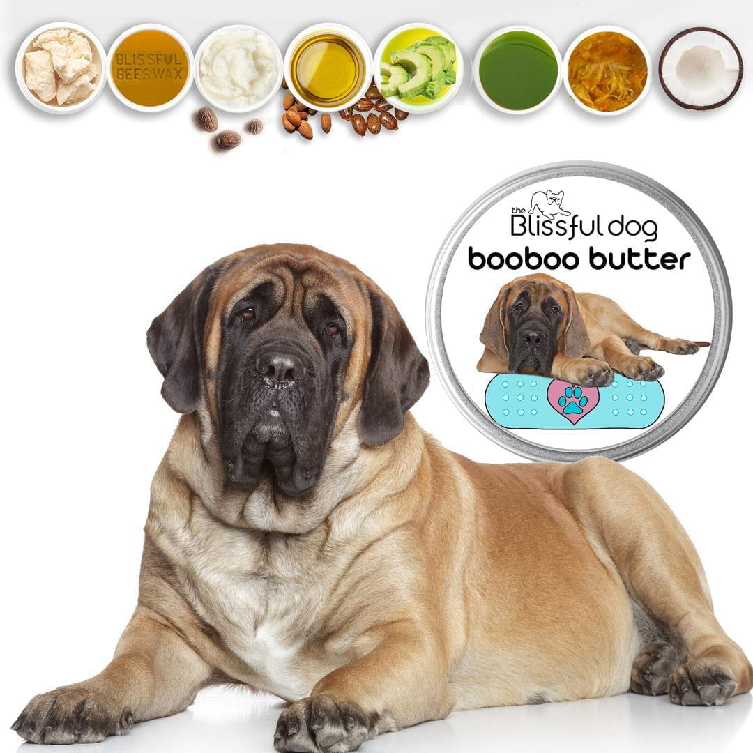 The Blissful Dog Boo Boo Butter for Mastiff Skin Care For Your Big Dog