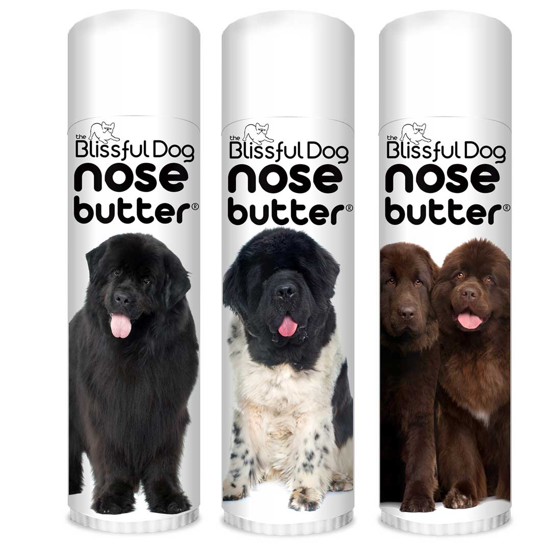 Newfoundland Nose Butter for Your Newfie Dog's Rough, Dry Dog Nose ...
