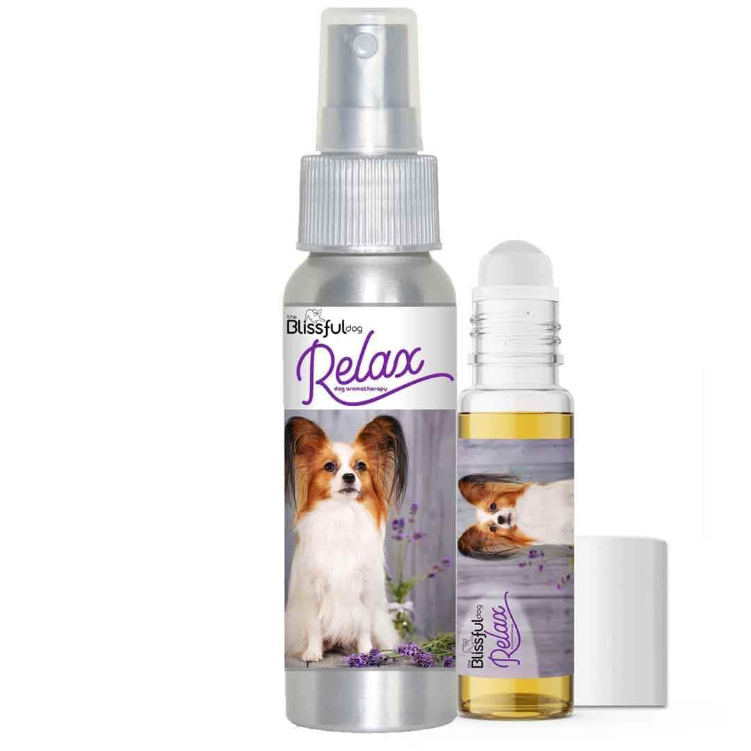 Shop Papillon Dog Collection for Your Dog's Skin & Coat Care Needs ...