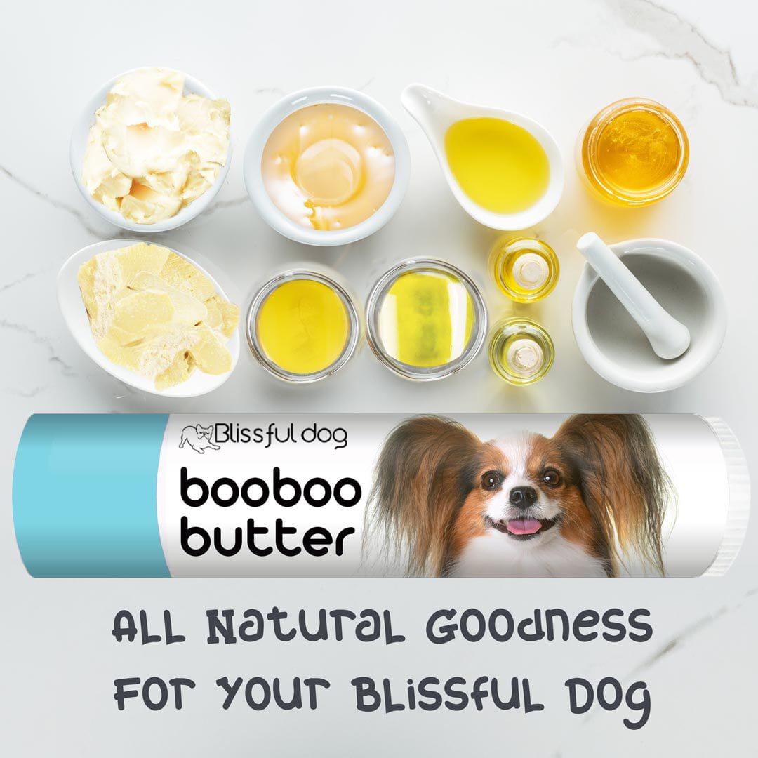 The Blissful Dog Papillon Skin Care for Dry Noses, Paws & Itchy Spots