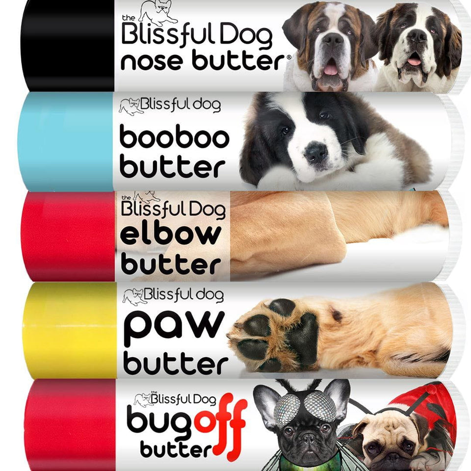 The Blissful Dog St Bernard Collection For Your Saint's Skin and Coat