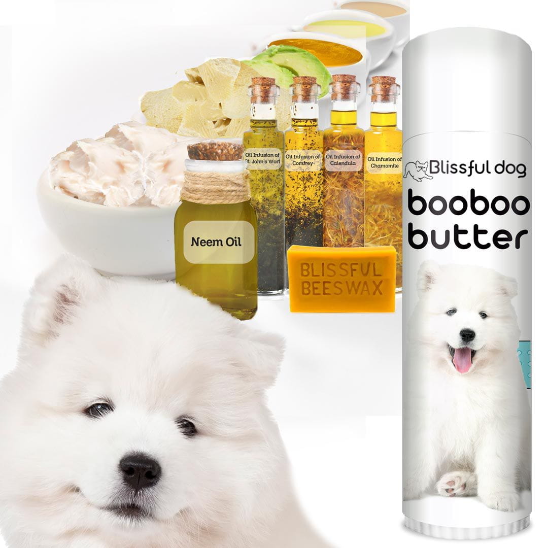Herbal, All Natural Boo Boo Butter for Samoyed Skin Care - The Blissful Dog