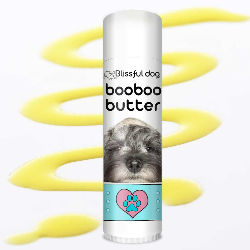 Boo Boo Butter for Schnauzer Skin Issues and Grooming After-Care - The ...