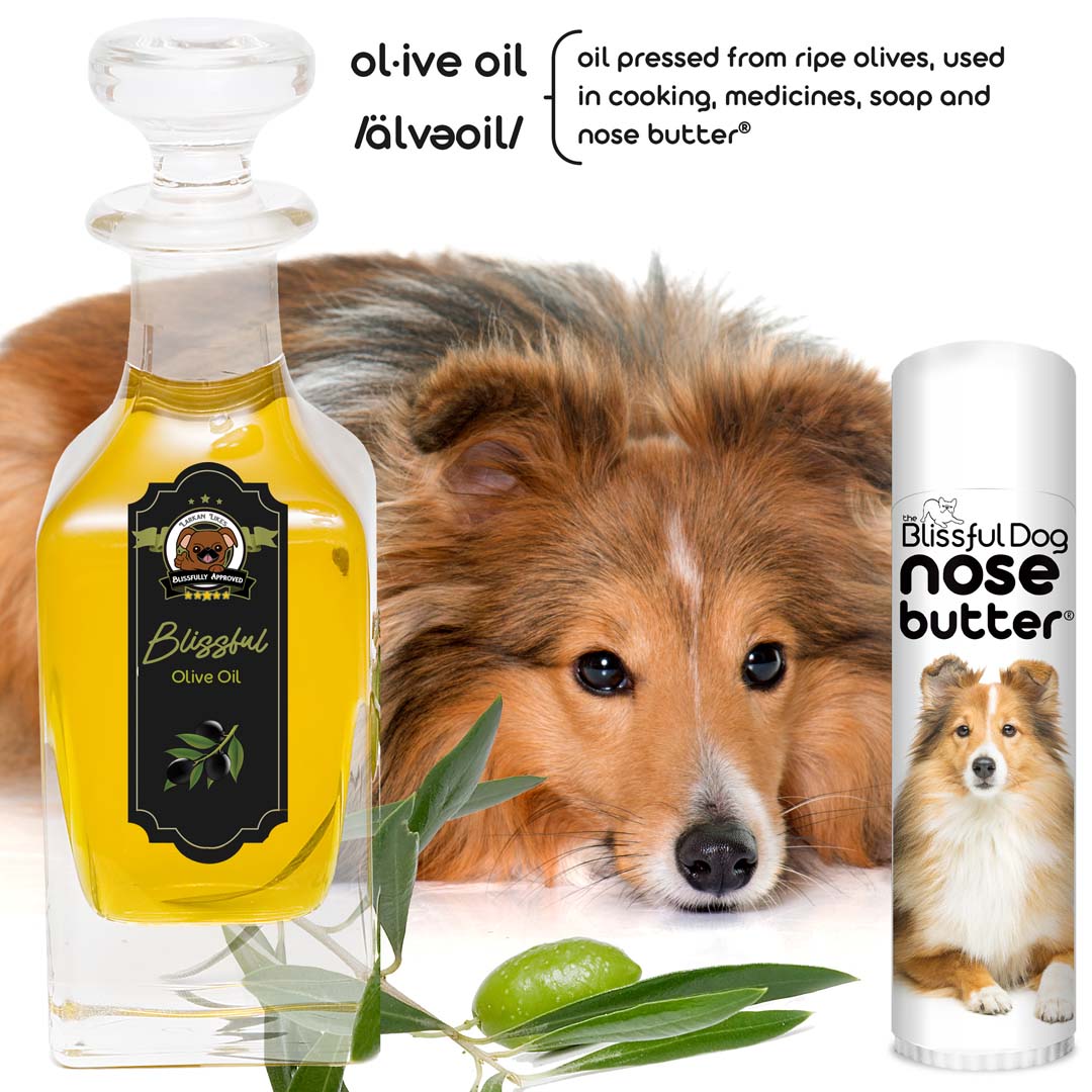Shetland Sheepdog Nose Butter Soothes Your Sheltie's Rough, Dry Nose ...