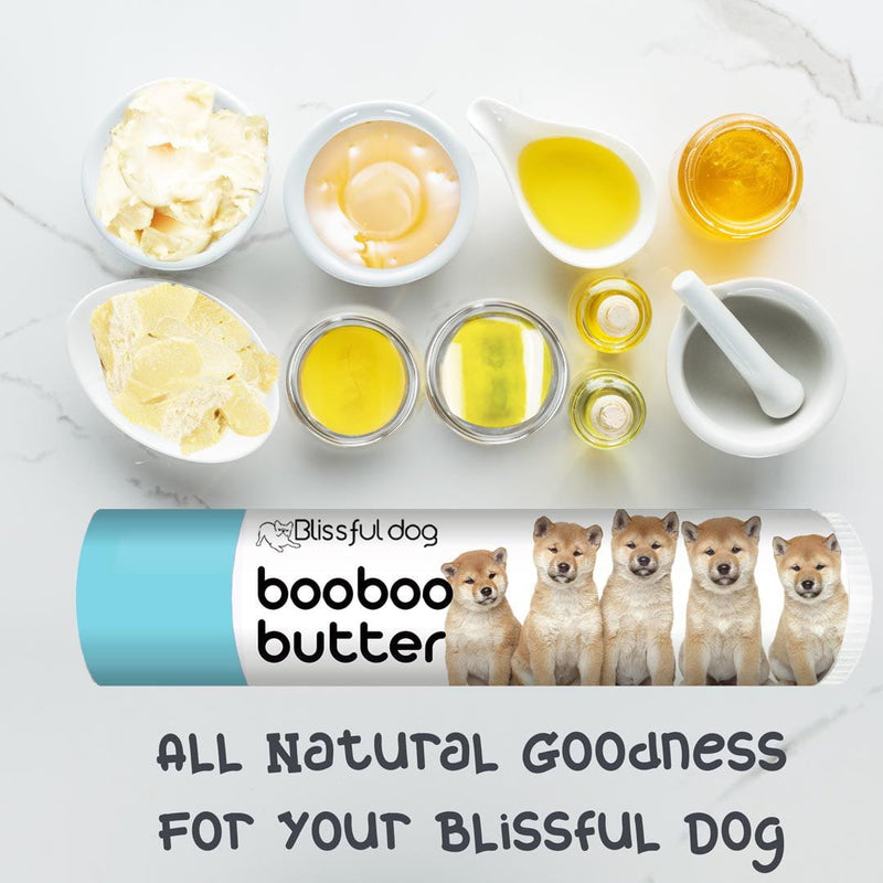 The Blissful Dog Shiba Inu Skin Care Combo for Your Dog's Nose, Paws+