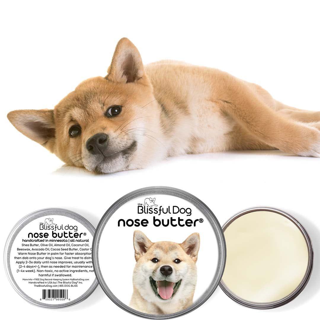 Shiba Inu Care Combo for Your Shiba's Dry Nose and Paws & Itchy Skin ...