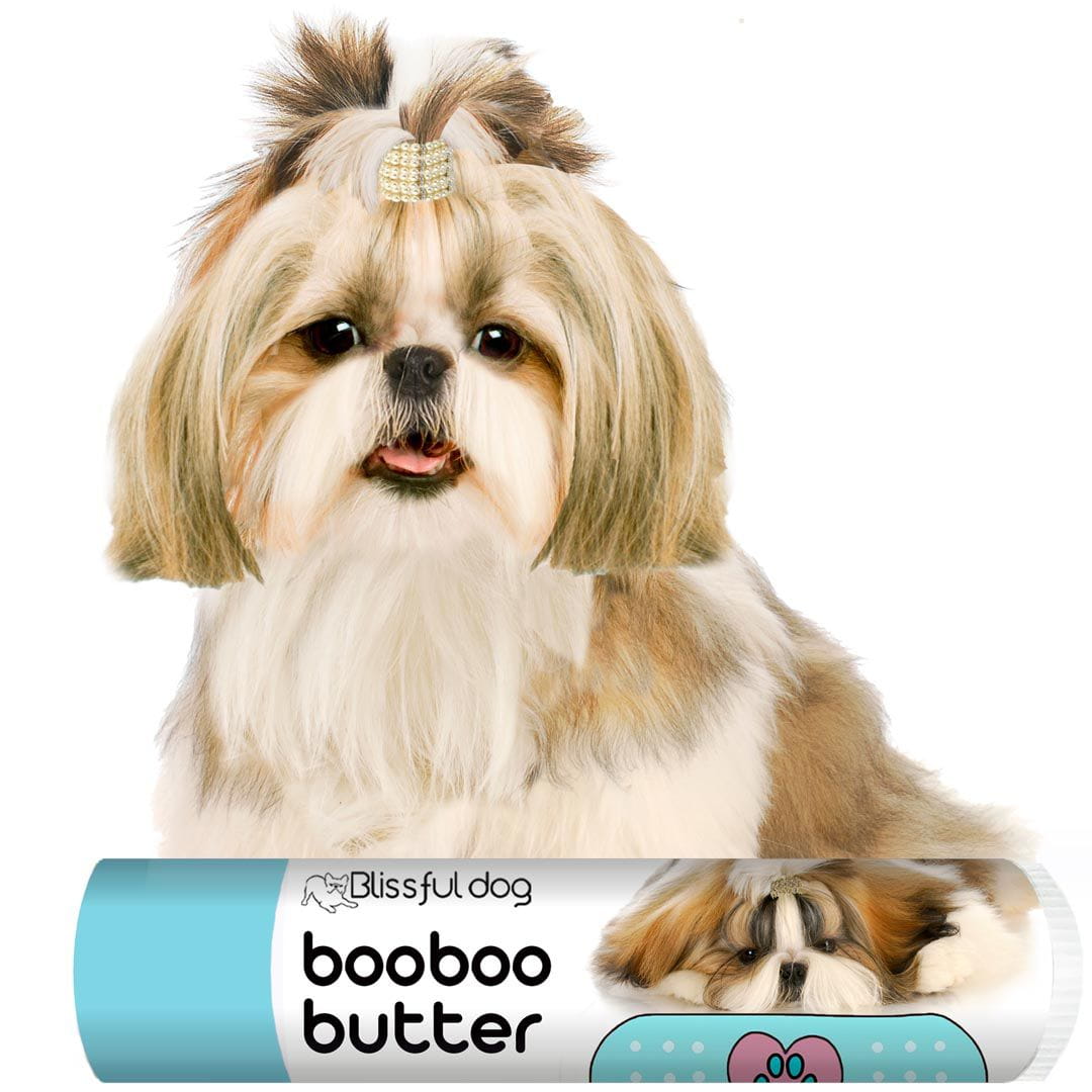 The Blissful Dog Collection for Your Shih Tzu's Skin and Coat Care