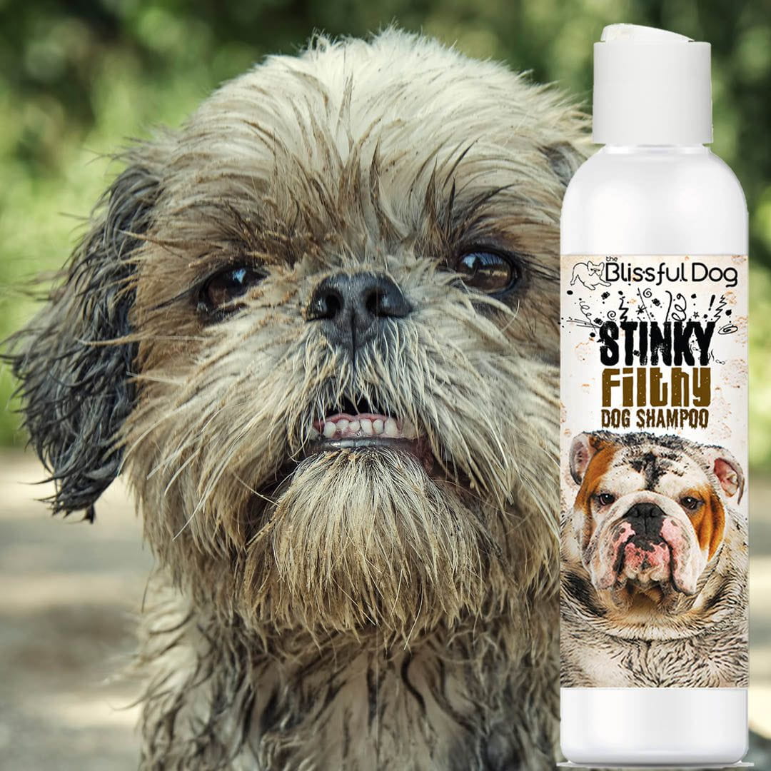Stinky Filthy Dog Shampoo for Your Stinky, Filthy Animal of a Dog - The ...