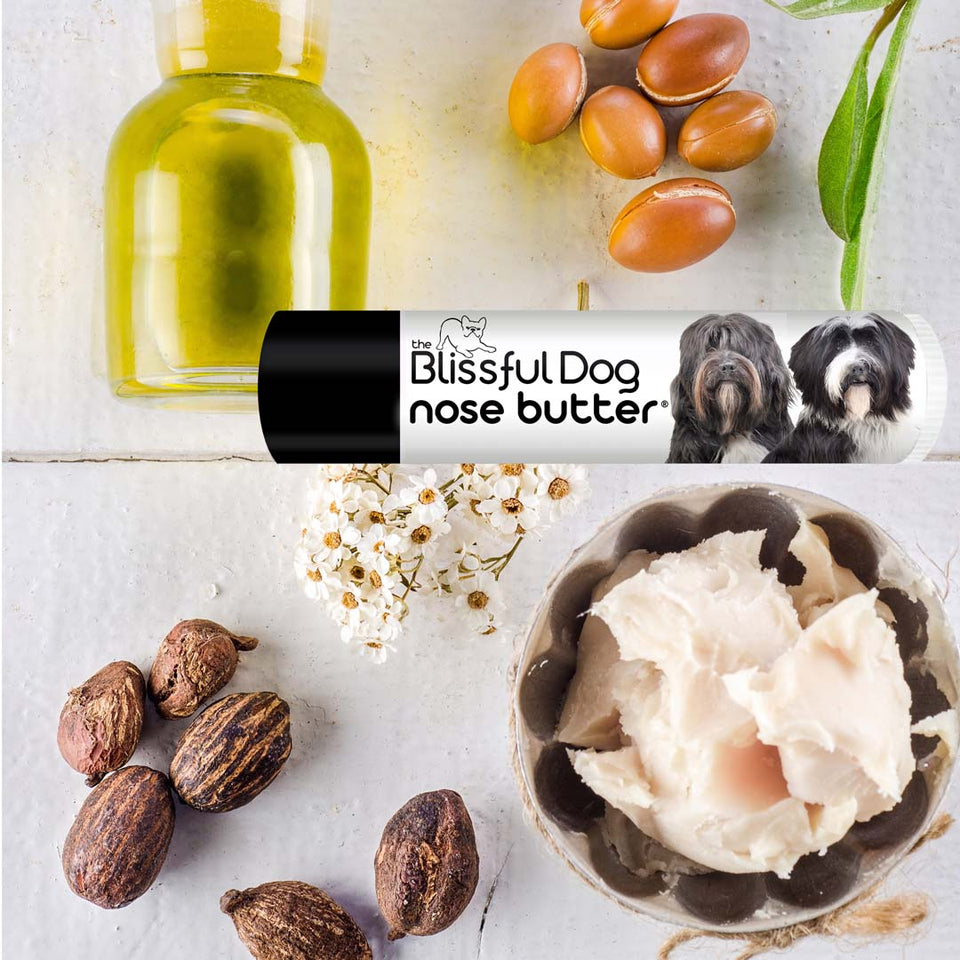 Tibetan Terrier Collection for Your TT's Blissful Best - The Blissful Dog