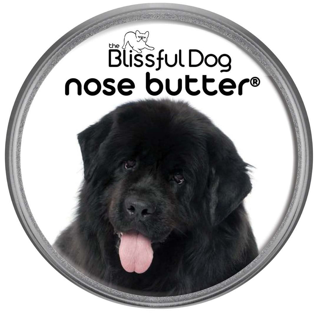 Newfoundland Nose Butter for Your Newfie Dog's Rough, Dry Dog Nose ...