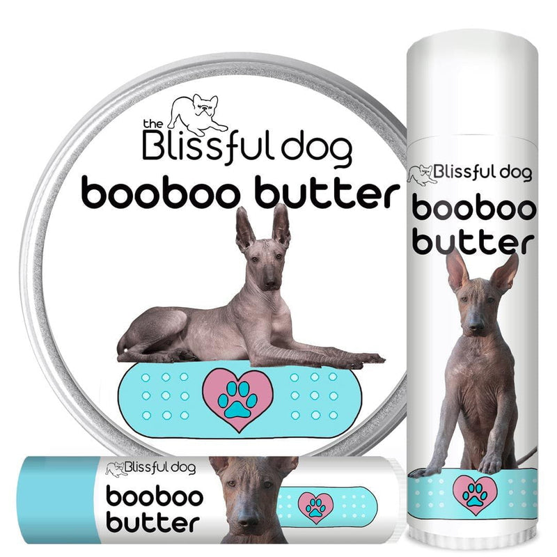 Herbal Boo Boo Butter for All Your Xoloitzcuintli Skin Care Needs - The ...